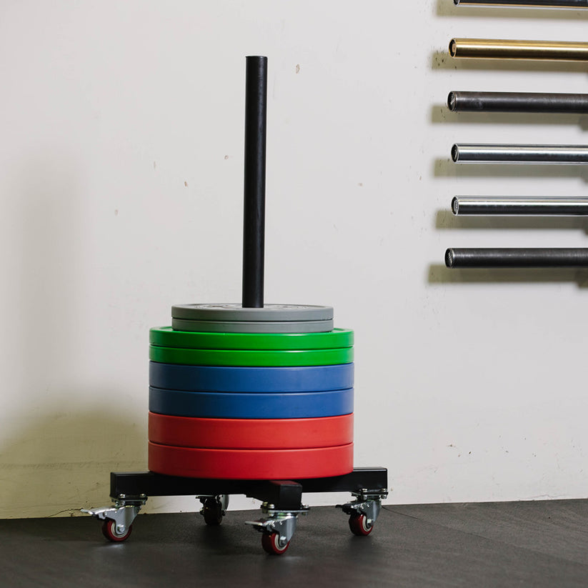 Portable Vertical Weight Plate Storage Rack | Titan Fitness