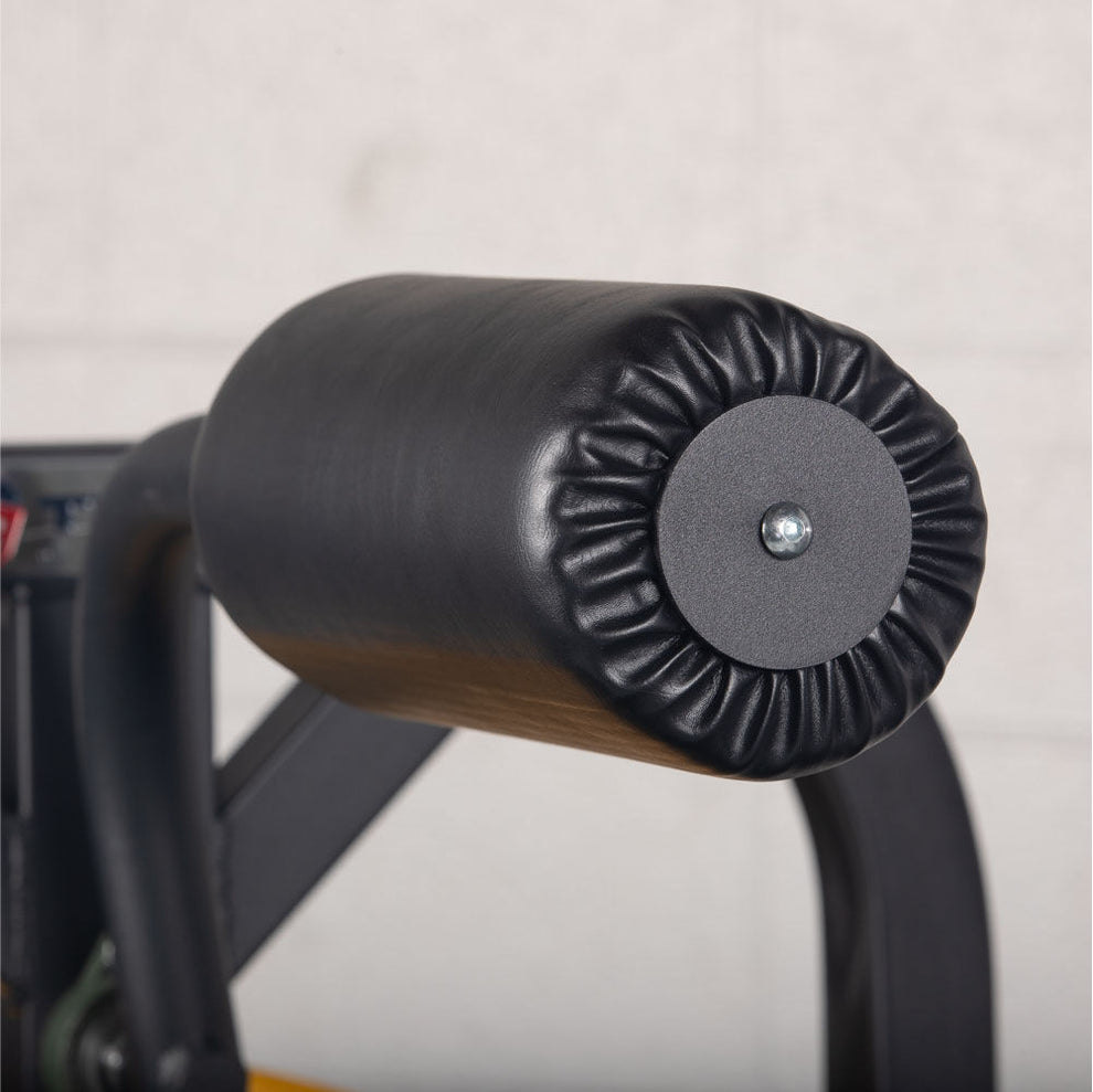 Plate-Loaded Neck Machine | Titan Fitness