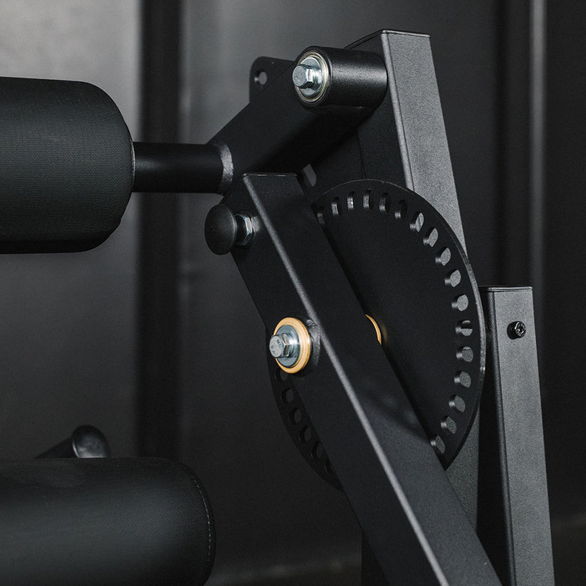 Leg Extension & Hamstring Curl Machine | Titan Fitness