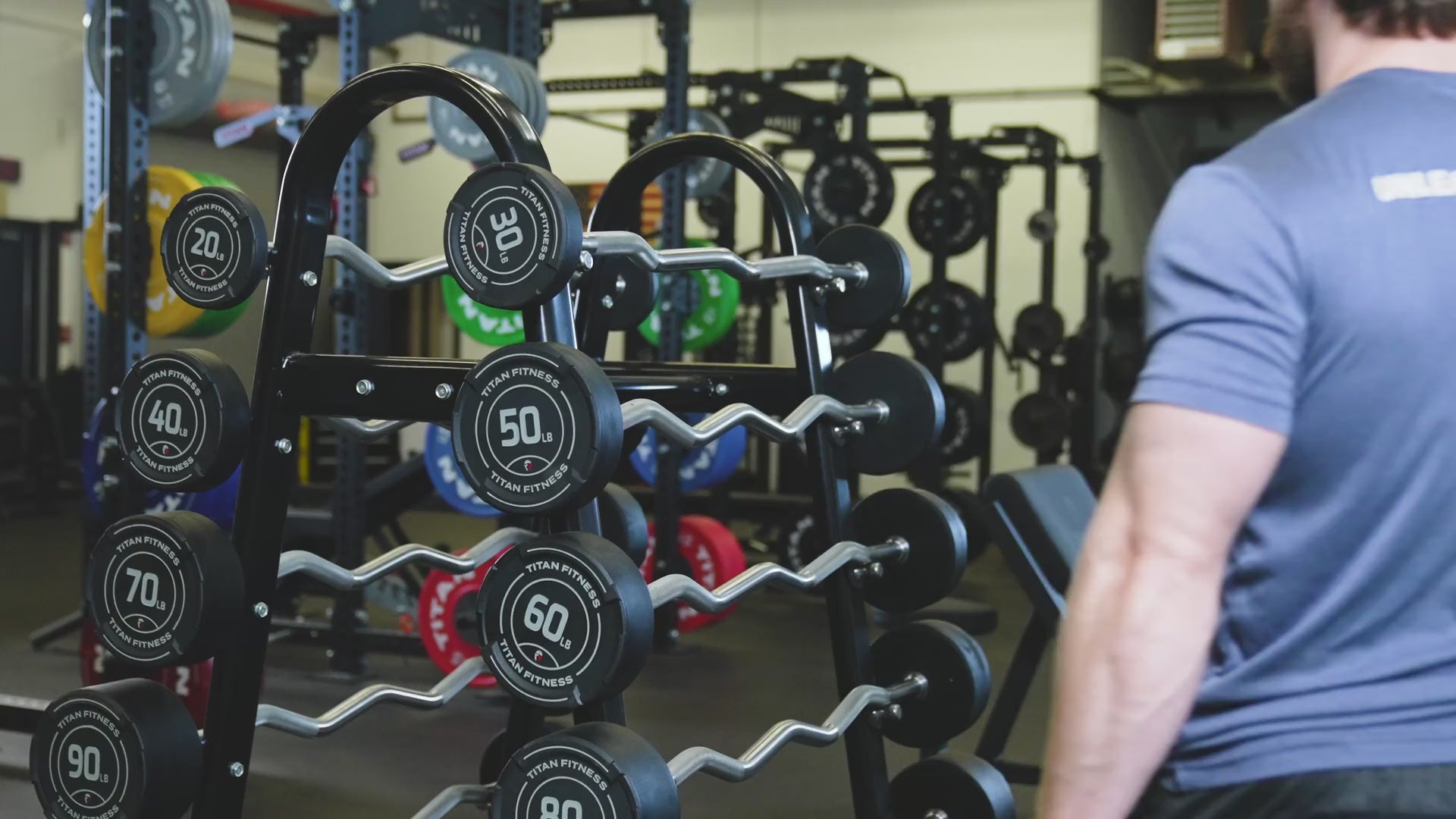 Fixed EZ Curl Bars | Titan Fitness